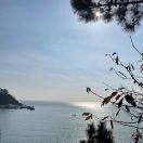 青岛/上海 全航线海运特种 OOG /TANK/LNG 南美西+中东印巴散货船服务！-国际物流圈