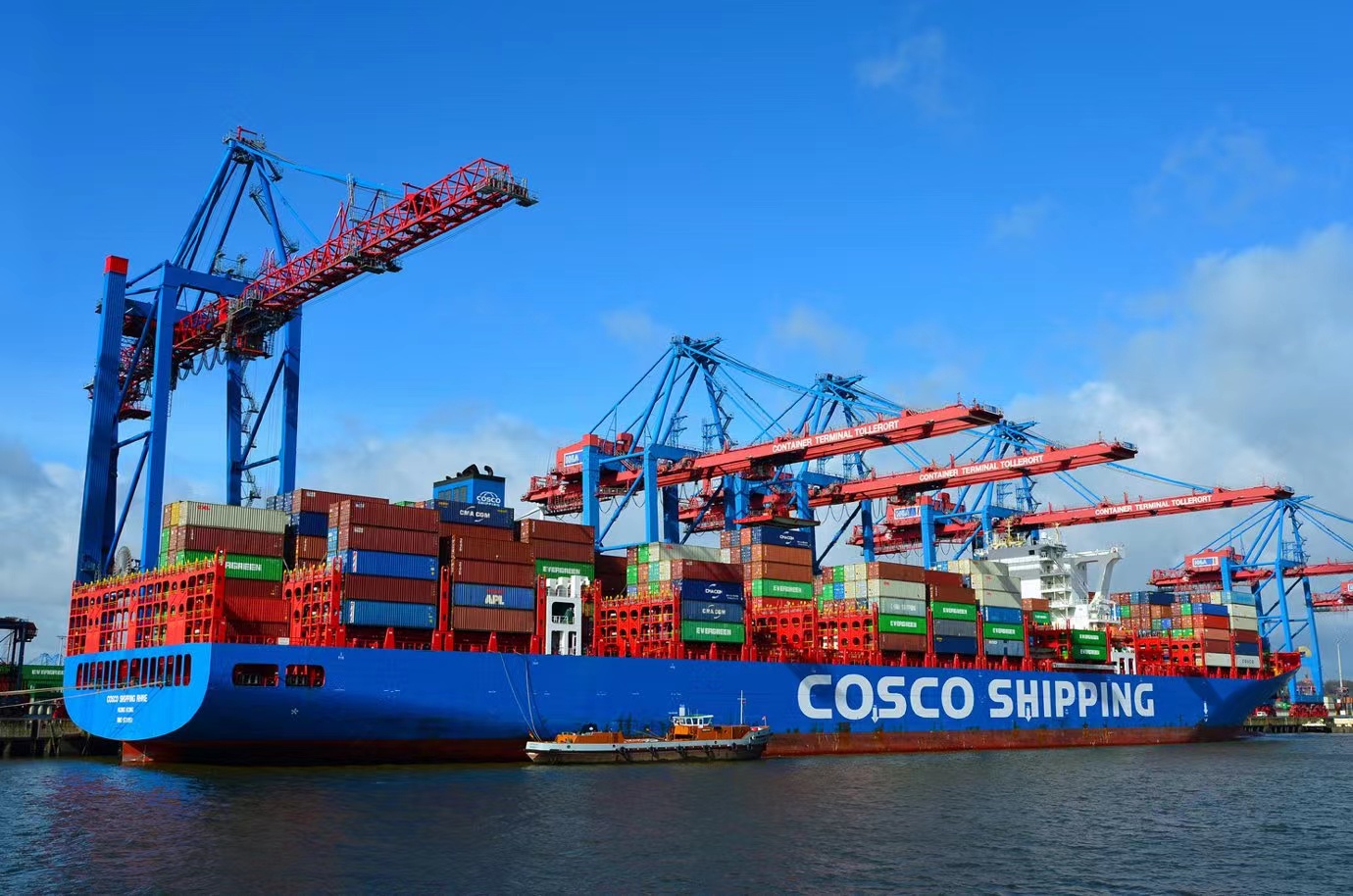 需要 天津 北非 COSCO庄家，谢谢-国际物流圈