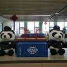 ms gao-青岛明通国际物流有限公司-总经理-我司95%的舱位由各口岸船东直供，安全 可靠