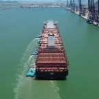 Amanda Rao-Iris shipping-业务员-艾瑞斯航运专注于全球散杂滚装货物运输，在中美及南美西航线有极大优势，海运价优船期准 ...