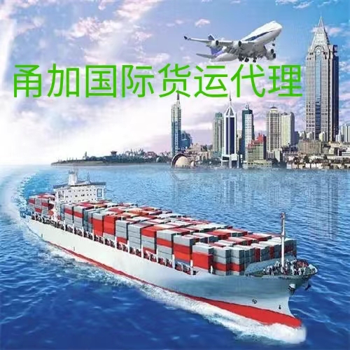 Steven 嘉兴甬加国际货运代理有限公司 部门经理 欧美 北非 中东优势海运,宁波 港 乍浦港 拖车报关。
