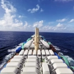 现舱靓价，先到先得！ ETD4.30 SHA-TEMA 1*40FR OWOH ETD5.4 S-国际物流圈